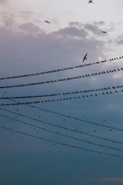 Bracelets for Horse Riders and Equestrians – Mountauk