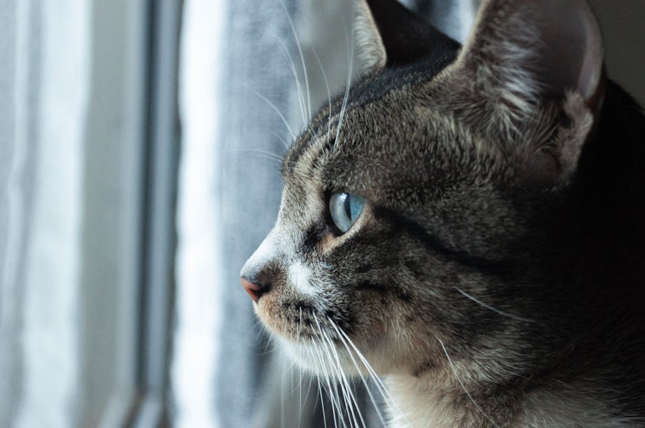 Bracelets for Stroke Prevention and Brain Health – Mountauk