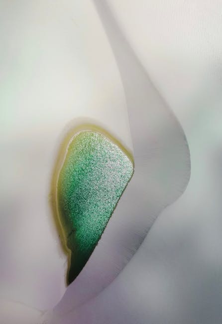 Agate and Emotional Resilience: Navigating Life’s Transitions with Gra ...