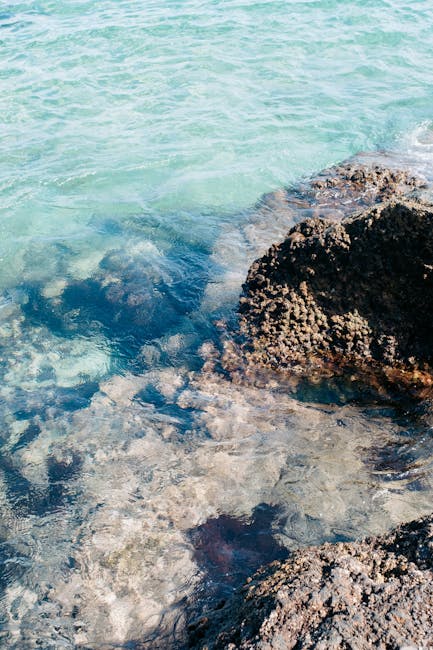 Bracelets for Hydration and Water Intake – Mountauk