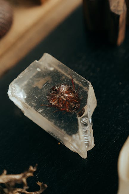 Cosmic Dance: Energy Bracelets that Celebrate Universal Movement – Mountauk