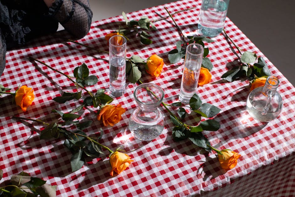 Solar Flare Bracelets: Harness Cosmic Energy for Daily Vitality – Mountauk