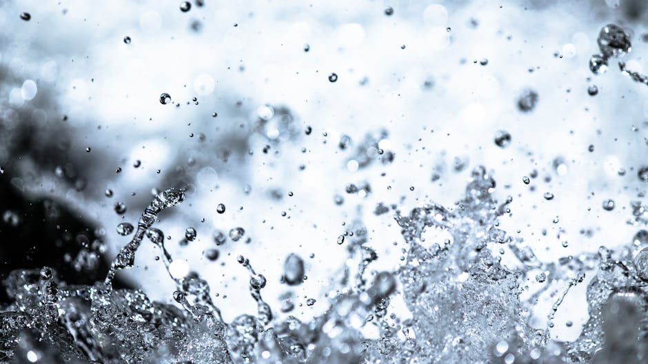 How to Choose the Right Feng Shui Bracelet for You | Energy & Luck Gui ...